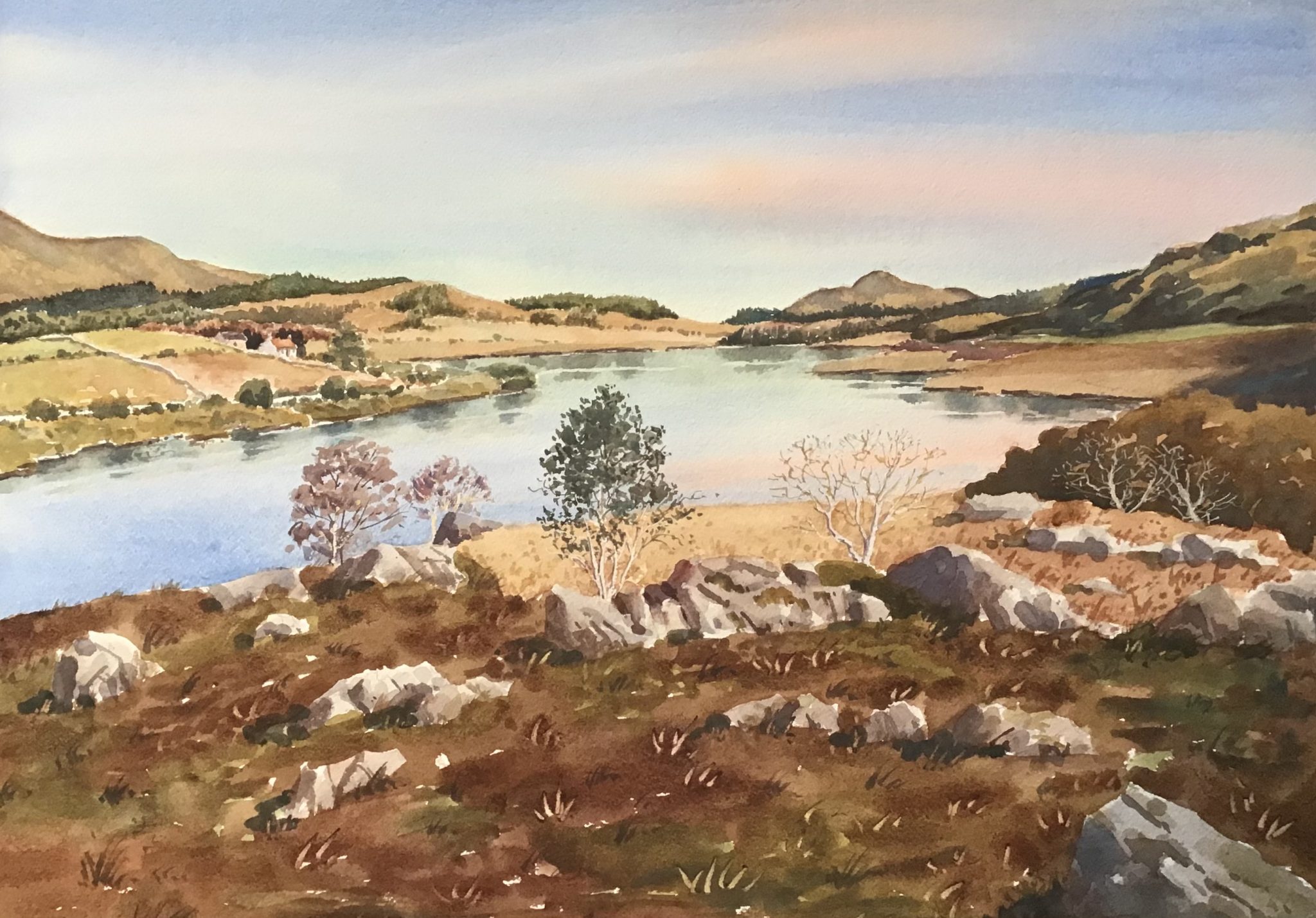 Tom Roche – The Park Art Group